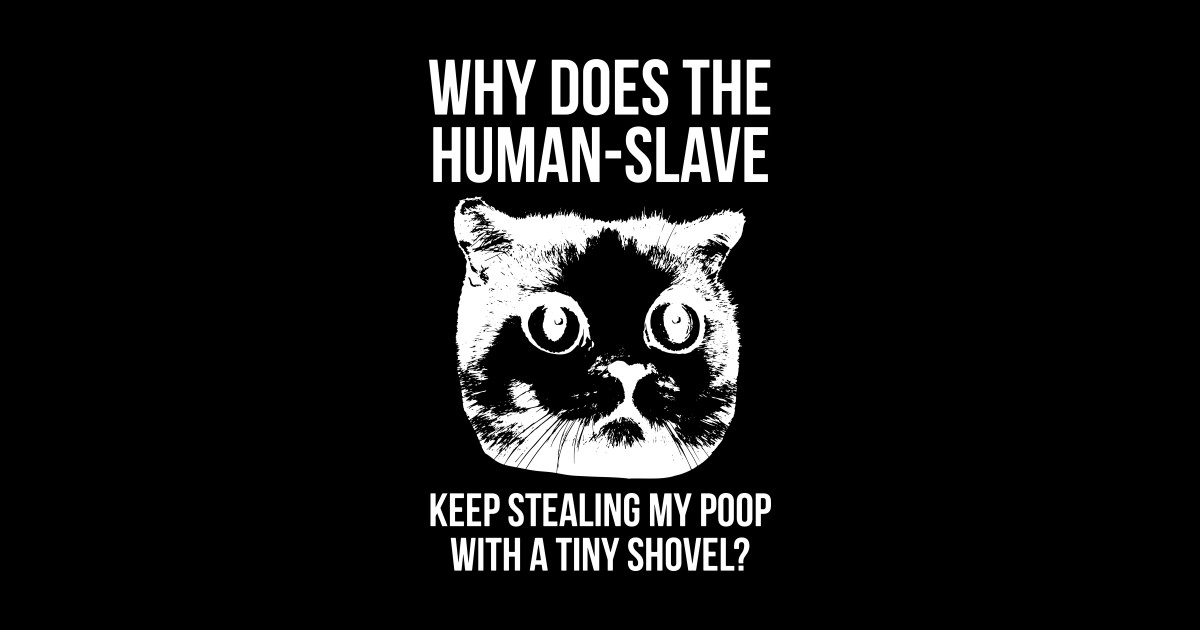 Why Does The Human-Slave Keep Stealing My Poop - Funny Quote - Sticker ...
