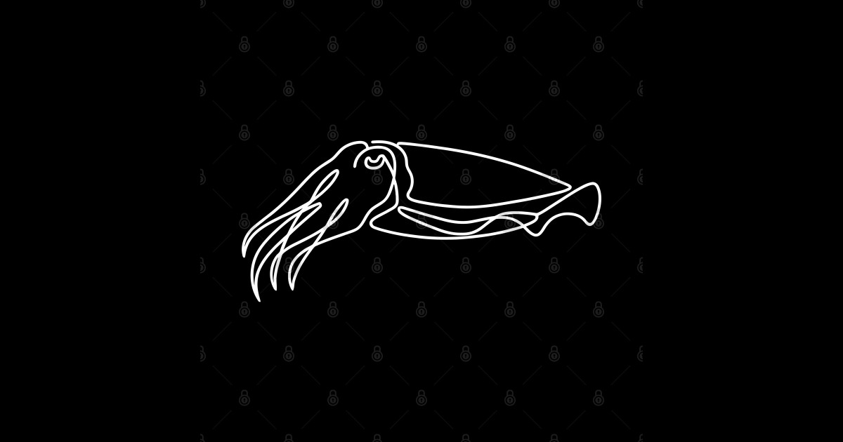 Cuttlefish Line Art - Cuttlefish - Sticker | TeePublic