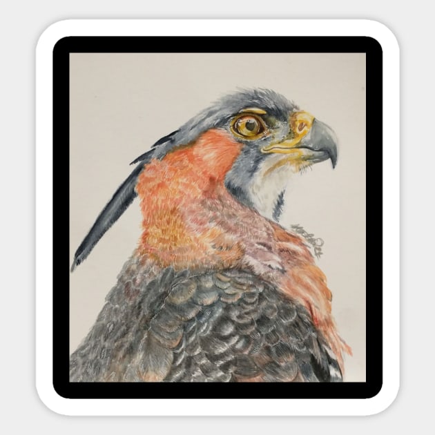 Rust-Feathered Hawk - Hawk - Sticker | TeePublic