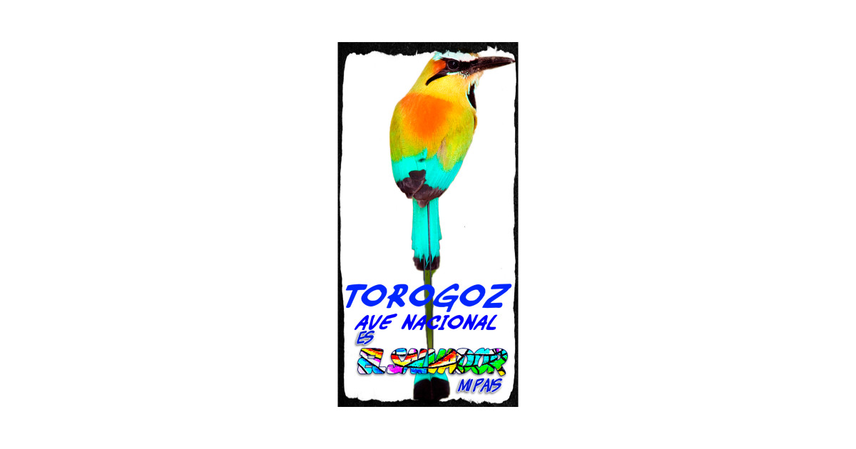 Torogoz national bird of El Salvador - The Savior - T-Shirt | TeePublic