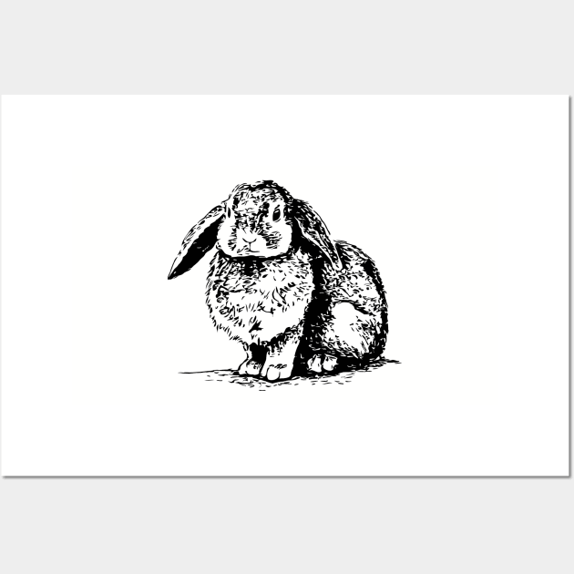 Dwarf Rabbit Charcoal Cute Floppy Ears Bunny - Rabbit - Posters and Art ...
