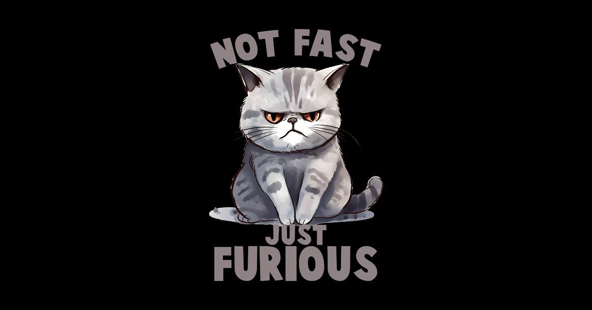 NOT FAST JUST FURIOUS CAT Funny Quote Hilarious Sayings Humor - Funny ...