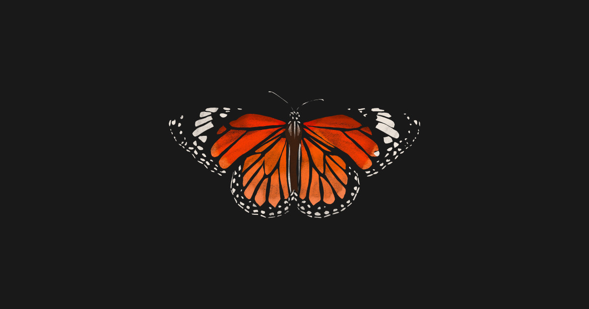 Negative Space Monarch - Butterflies - T-Shirt | TeePublic