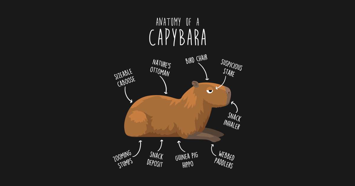 Capybara Anatomy - Capybara - T-Shirt | TeePublic