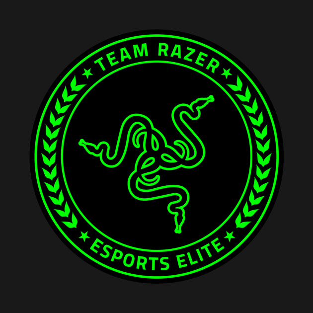 Team Razer Elite - Hoodie | TeePublic