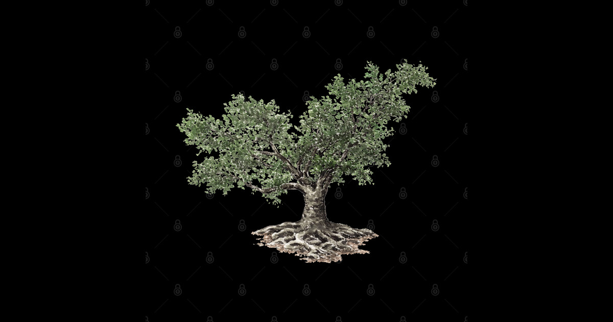 May birthday fig tree - May - Sticker | TeePublic