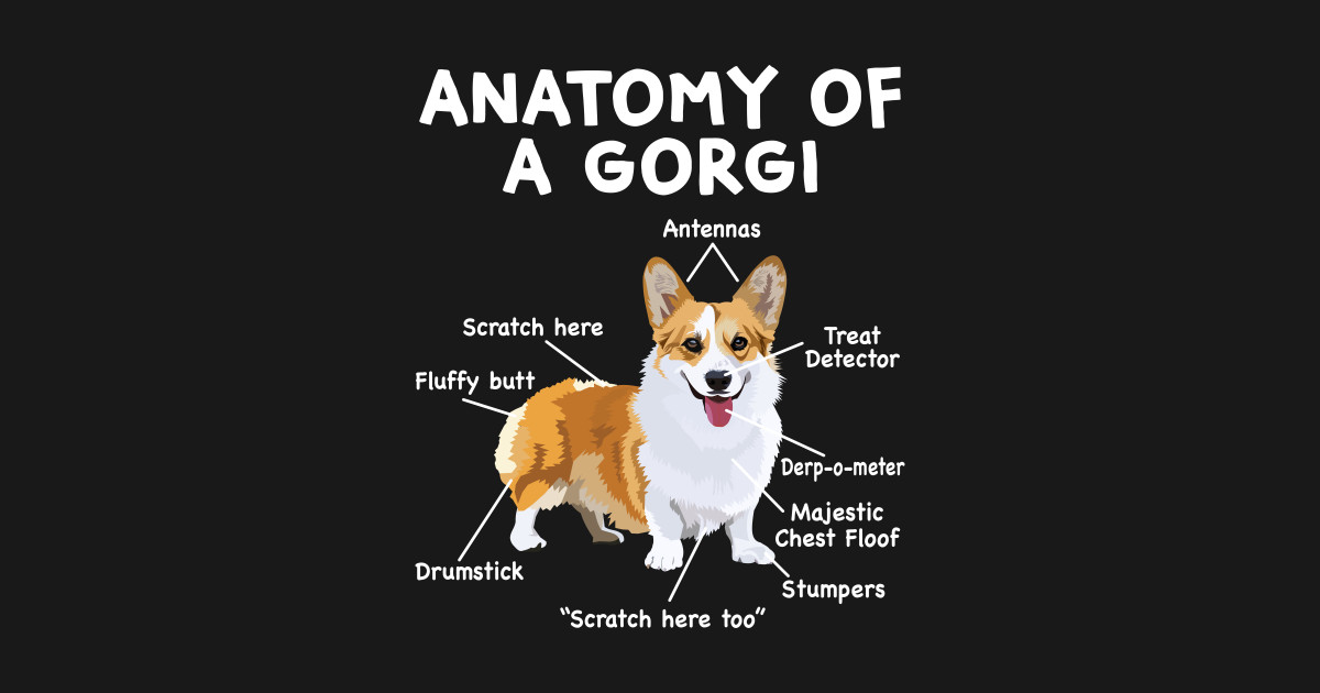 Anatomy of a Corgi - Anatomy Of A Corgi - T-Shirt | TeePublic