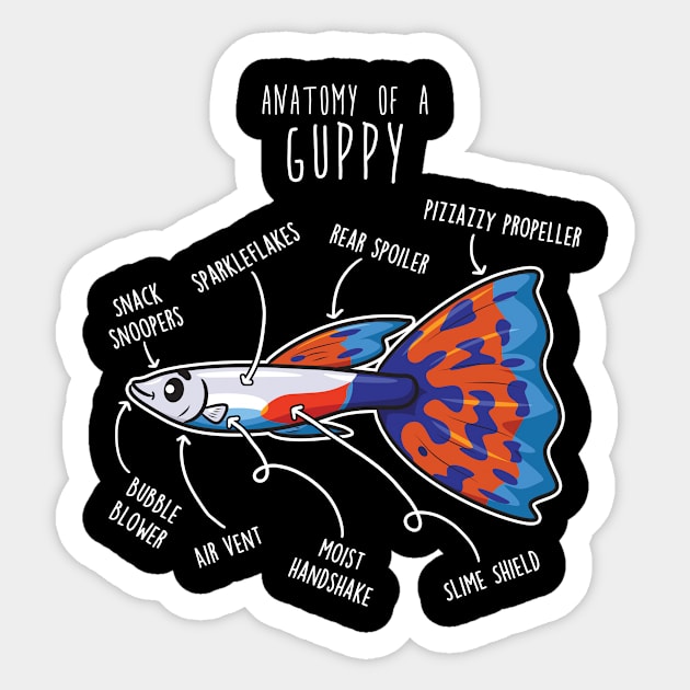 Guppy Fish Anatomy - Guppy - Sticker | TeePublic