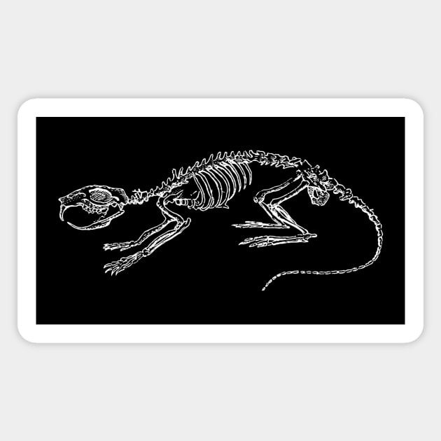 Rat Skeleton - Rat - Sticker | TeePublic