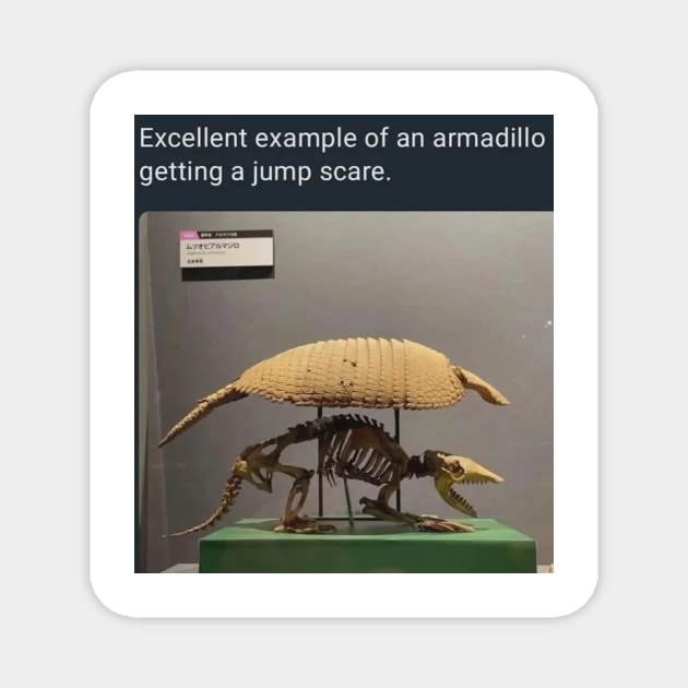 Armadillo Jump Scare Meme - Hilarious Museum Exhibit Fail - Meme ...
