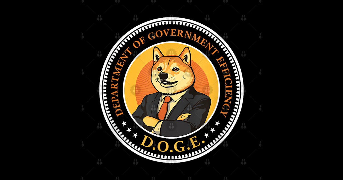 DOGE Department of Government Efficiency Tee - DOGE Design T-Shirt ...