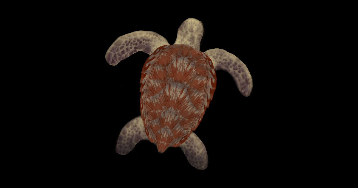 Drawn Sea Turtle - Steven Elliot - Sticker | TeePublic
