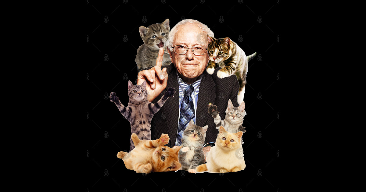 Bernie and some adorable Cats - Feel the PURR - Bernie Sanders ...