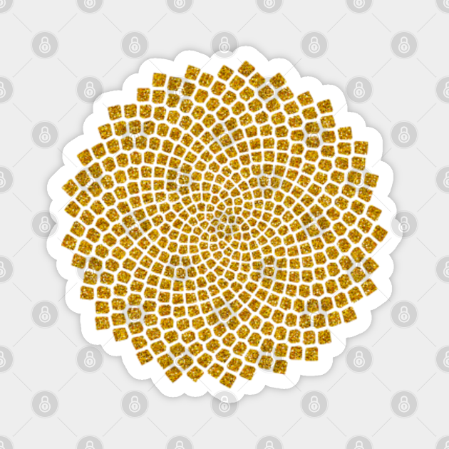 Sunflower Seeds, Fibonacci Spiral, Golden Ratio, Math - Fibonacci ...