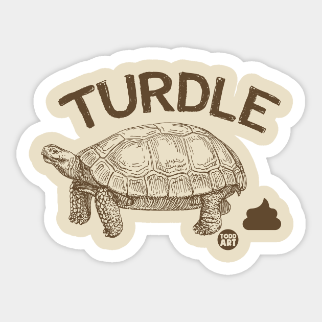 TURDLE - Turtle - Sticker | TeePublic