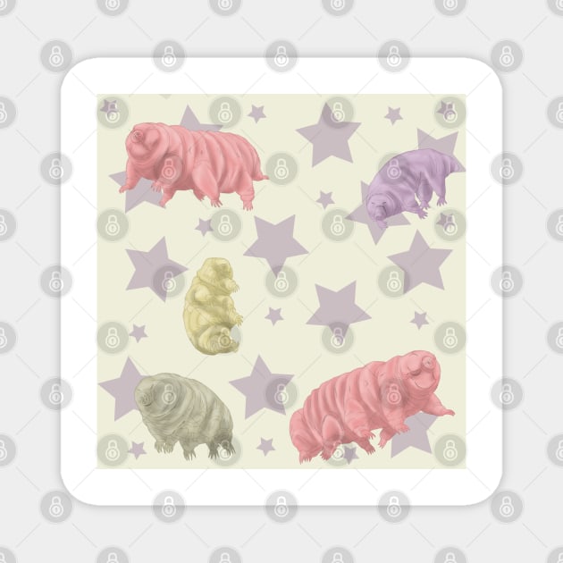 Tardigrade Pattern Cream with Stars - Water Bears - Magnet | TeePublic