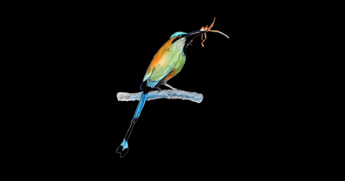 Blue Crowned Motmot Painting - Blue - Sticker | TeePublic