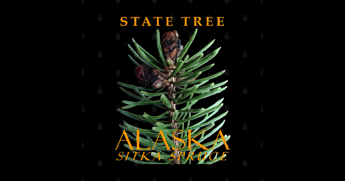 Alaska Territory Tree The Sitka Spruce - State Tree - Sticker | TeePublic
