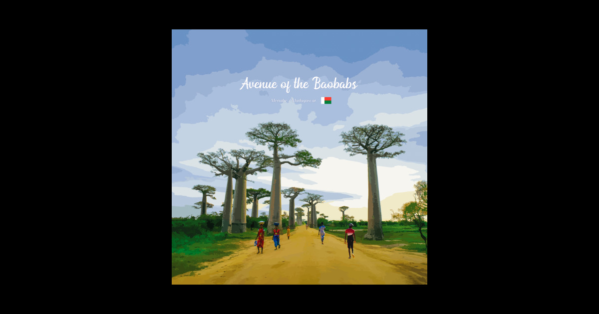 Avenue of the Baobabs, Madagascar [Square] - Avenue Of The Baobabs - Posters and Art Prints ...