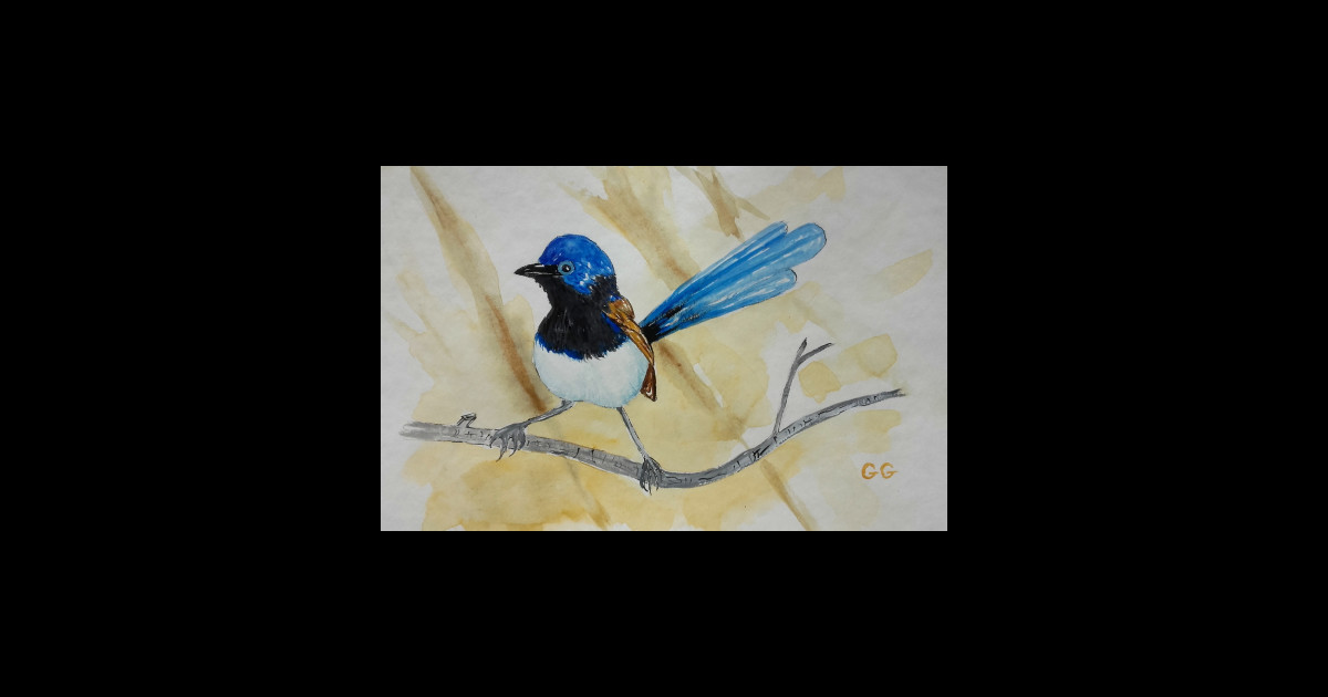 Beautiful Blue Wren - bird art - Wrens - Sticker | TeePublic