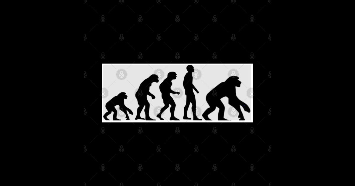 Evolution - Humorous Design Human - Sticker | TeePublic