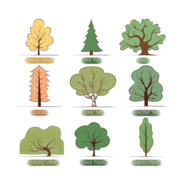 Kinds of Tree - Doodle tree Botanical Illustration - Tree Doodle - T ...