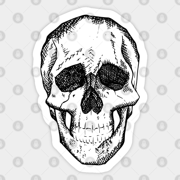cross hatch skull