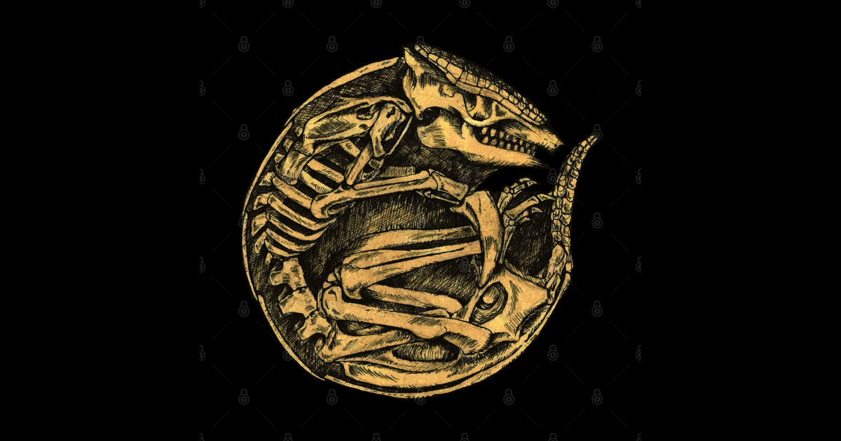 Dillo - 3 Band - Sticker | TeePublic