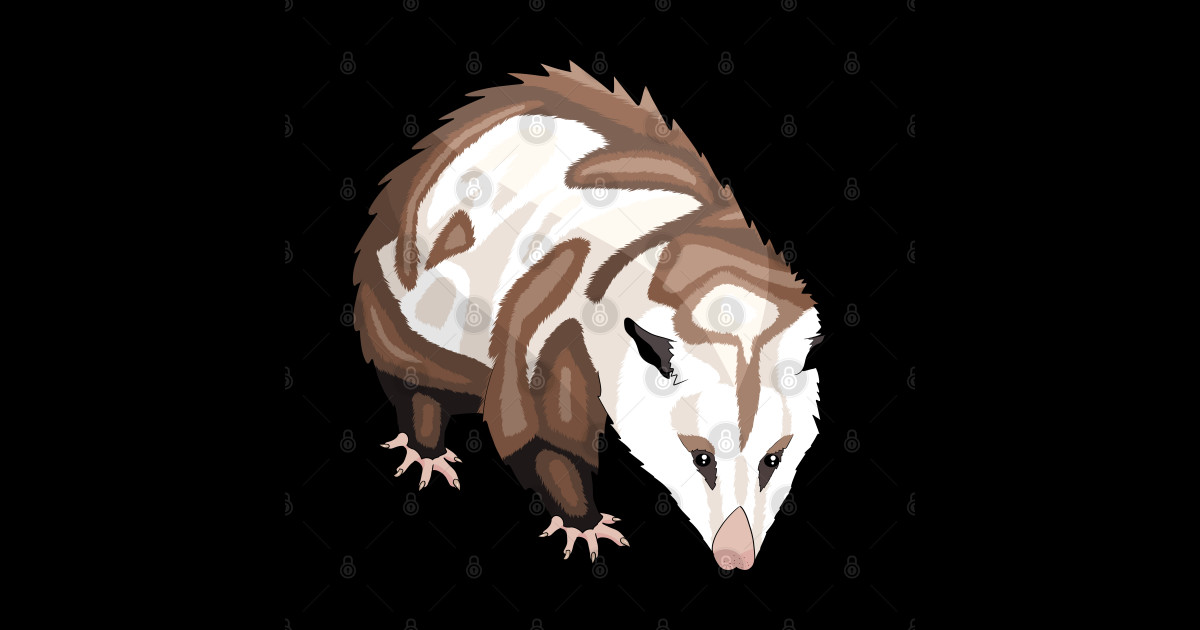 Possum - Possum - Sticker | TeePublic