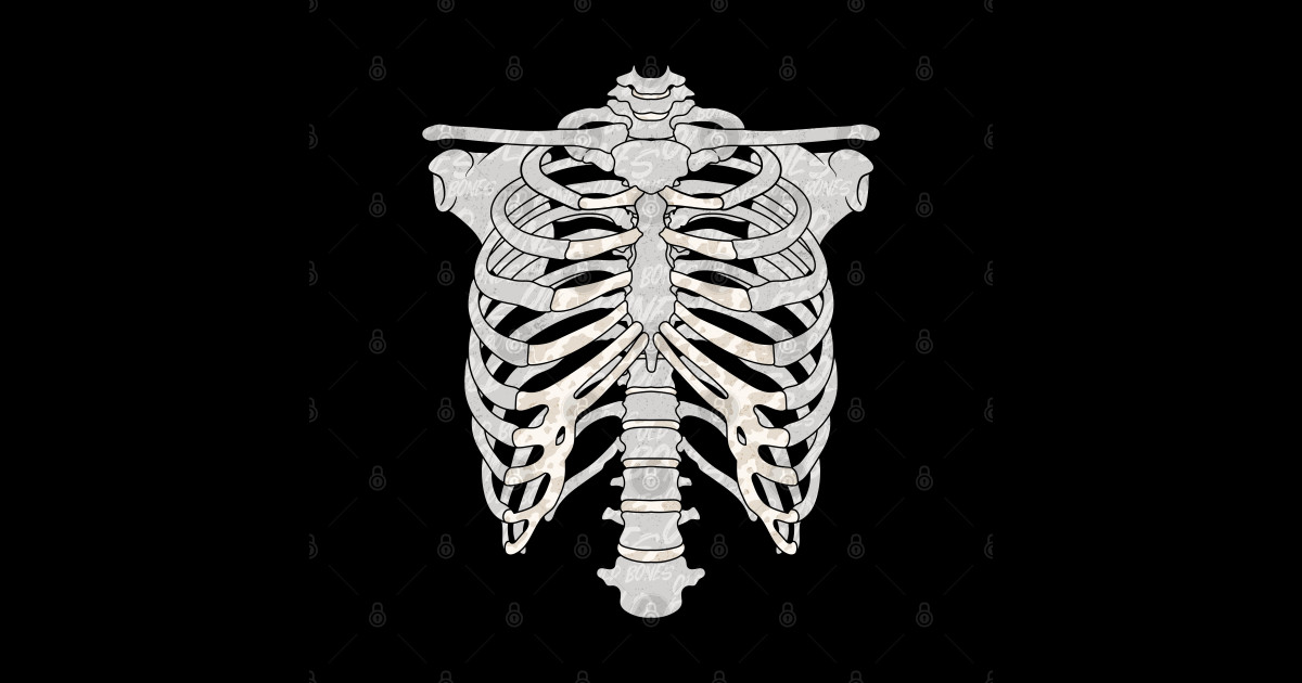Rib Cage - Rib Cage - Sticker | TeePublic