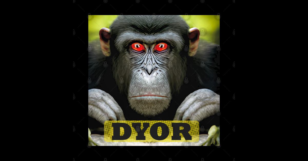 Funny Monkey Cute Apes Animal memes - Funny Animals Monkeys Apes ...