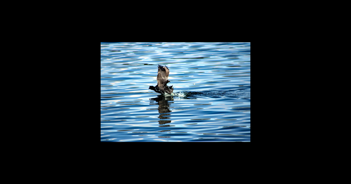 Lake Arrowhead - Lake Arrowhead - Sticker | TeePublic