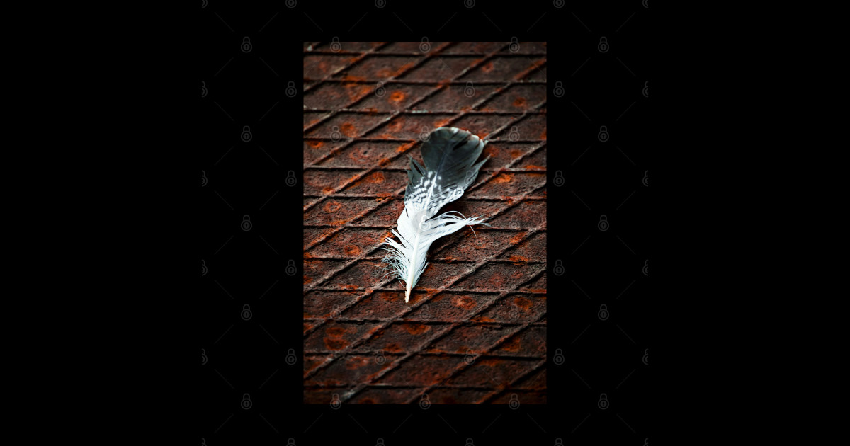 Rust and Feathers - Rust - Sticker | TeePublic