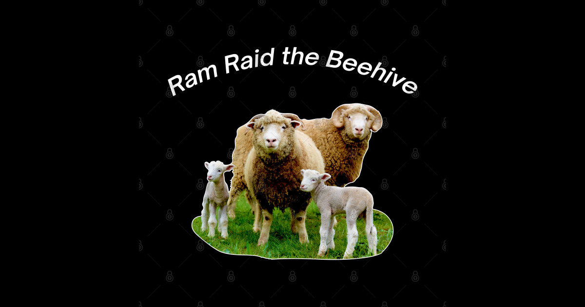 Sheep Ram Raid The Beehive Funny - Sheep - Sticker | TeePublic