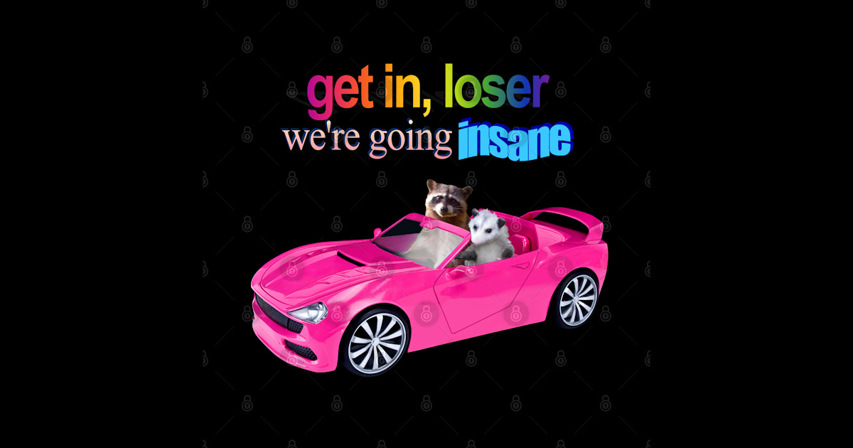 Going Insane Raccoon Meme - Raccoon Meme - Sticker | TeePublic