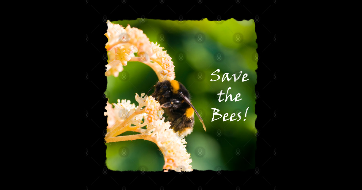 Bumblebee on a flower - Save The Bees Awesome Gift - Sticker | TeePublic