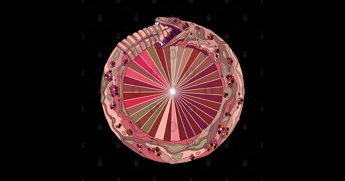 Ouroboros in rose with rays! - Ouroboros Snake - Sticker | TeePublic