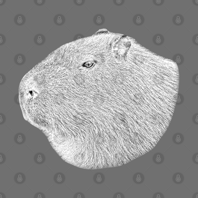 Capybara line drawing conversion - Capybara - Tapestry | TeePublic