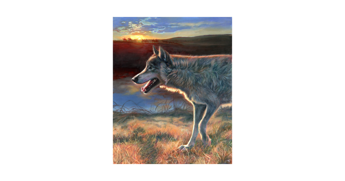 Two Socks - Dances with Wolves - Two Socks - Kids T-Shirt | TeePublic