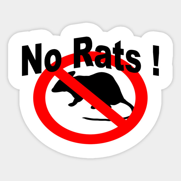 no rats - Rats - Sticker | TeePublic
