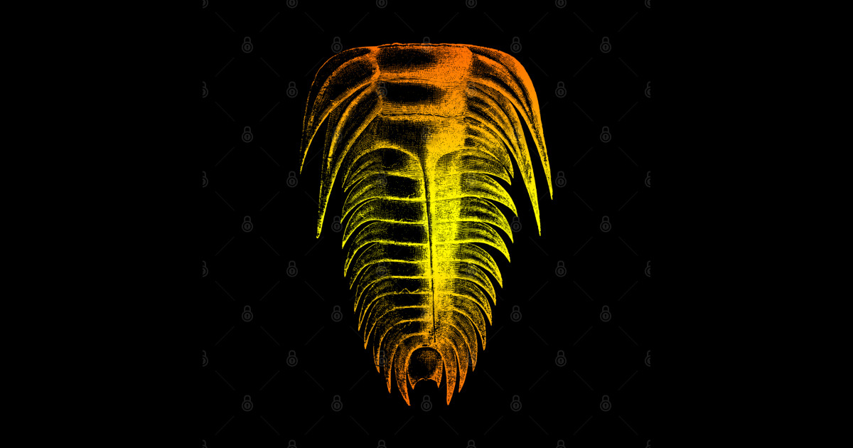 Trilobite Orange Yellow Color Splash Design - Trilobite - Sticker ...