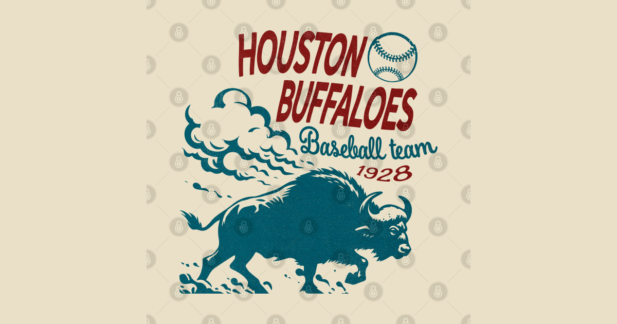 Defunct Houston Buffaloes Baseball Team 1928 - Defunct Baseball Teams ...