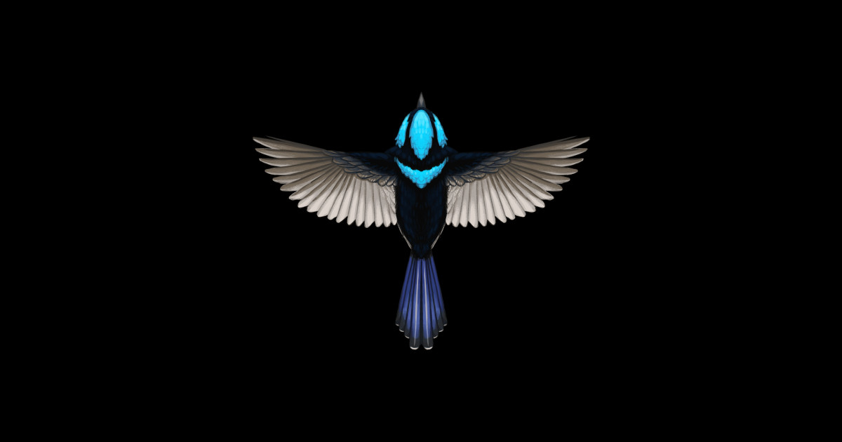 Superb Fairy-wren - Superb - Sticker | TeePublic