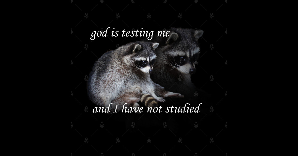 god is testing me - Funny Meme - Sticker | TeePublic
