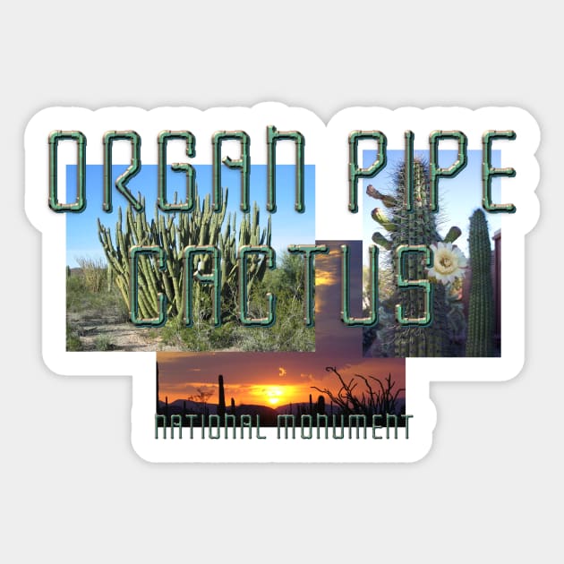 Organ Pipe Cactus National Monument - Organ Pipe Cactus National ...