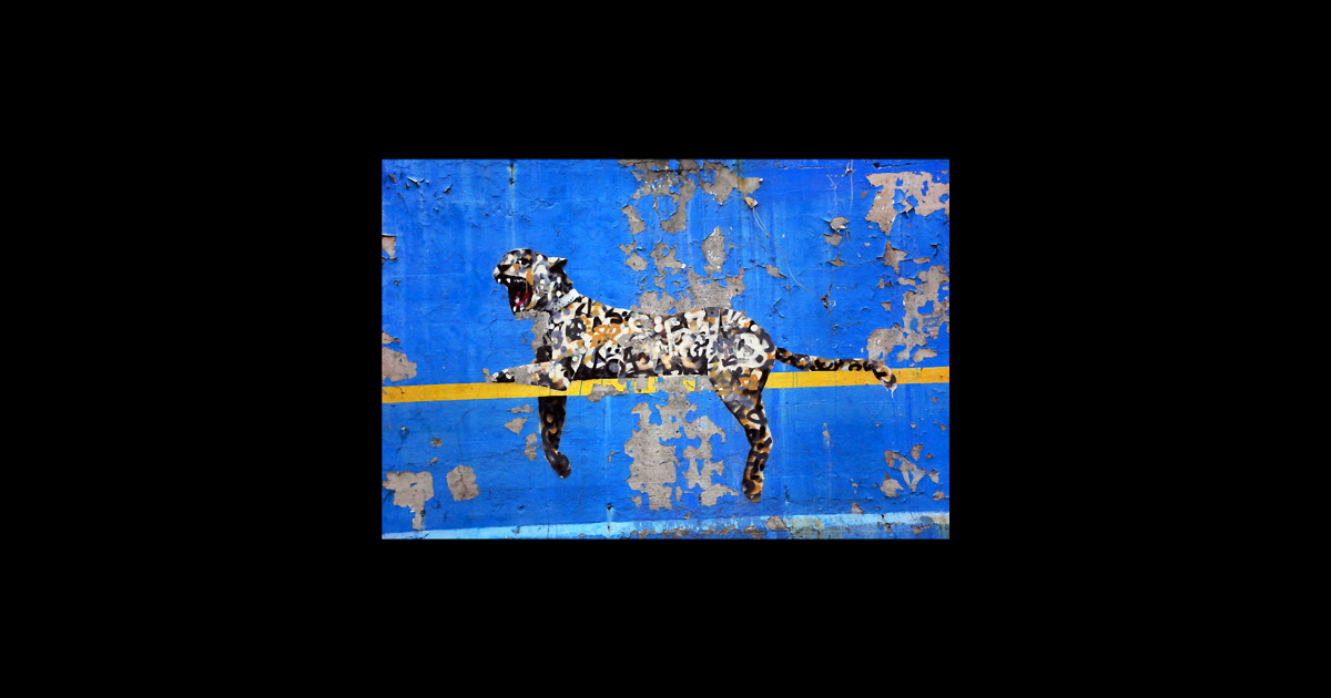 Banksy Mural Graffiti Leopard Bronx Zoo Wall - Banksy Mural Graffiti ...