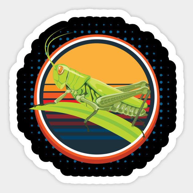 Grasshopper Insect Locust - Grasshopper - Sticker | TeePublic