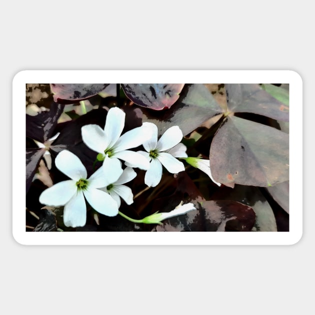 white flowers - Flowers - Sticker | TeePublic