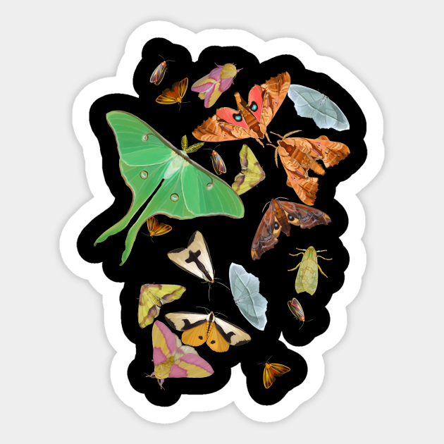 Moth Party! - Moths - Sticker | TeePublic