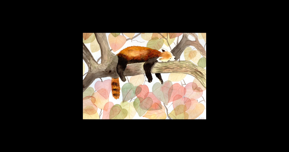 Red Panda with fall foliage Watercolor Illustration - Red Panda ...